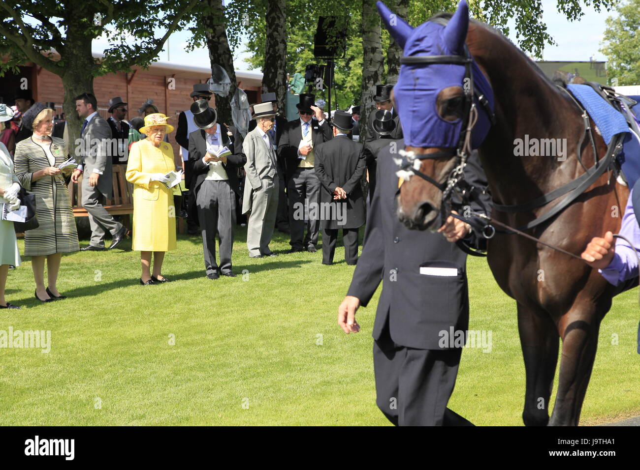 HRH Queen Elizabeth 2 at the 2017 Derby Stock Photo - Alamy