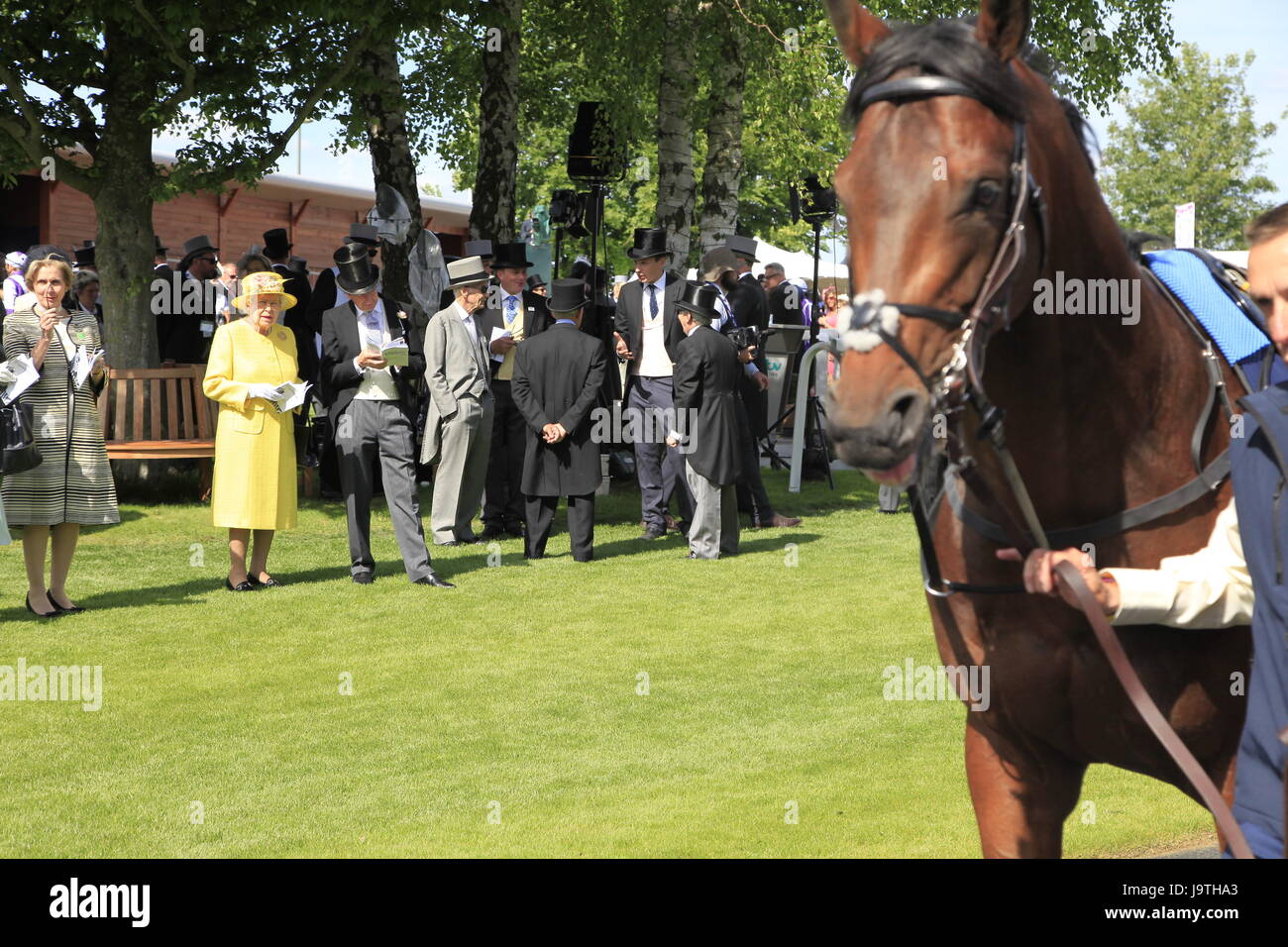 HRH Queen Elizabeth 11 at the 2017 Derby Stock Photo - Alamy