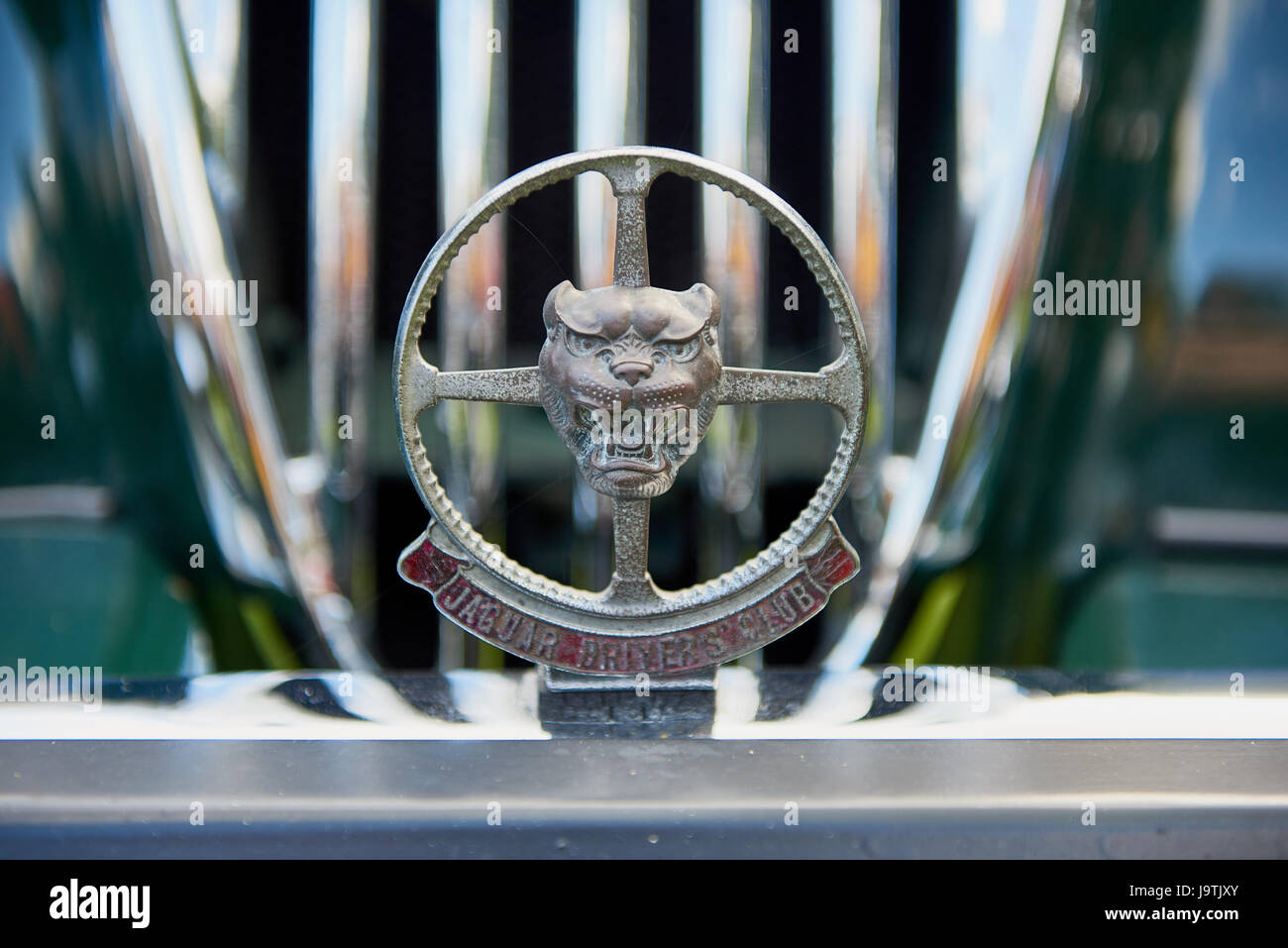 Jaguar Classic Car Show Tatton Park Cheshire Stock Photo - Alamy