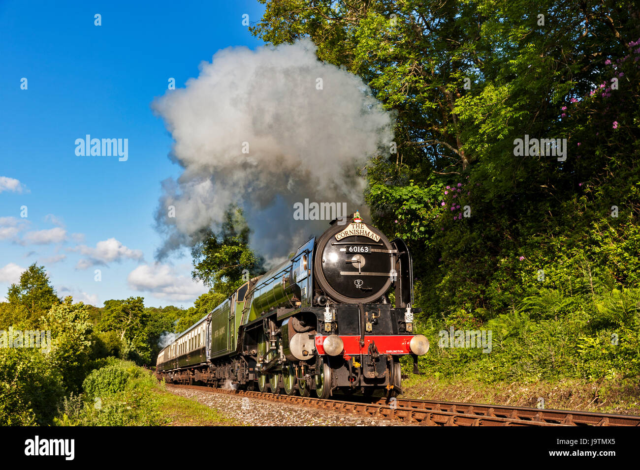 Lner tank engine hi-res stock photography and images - Alamy