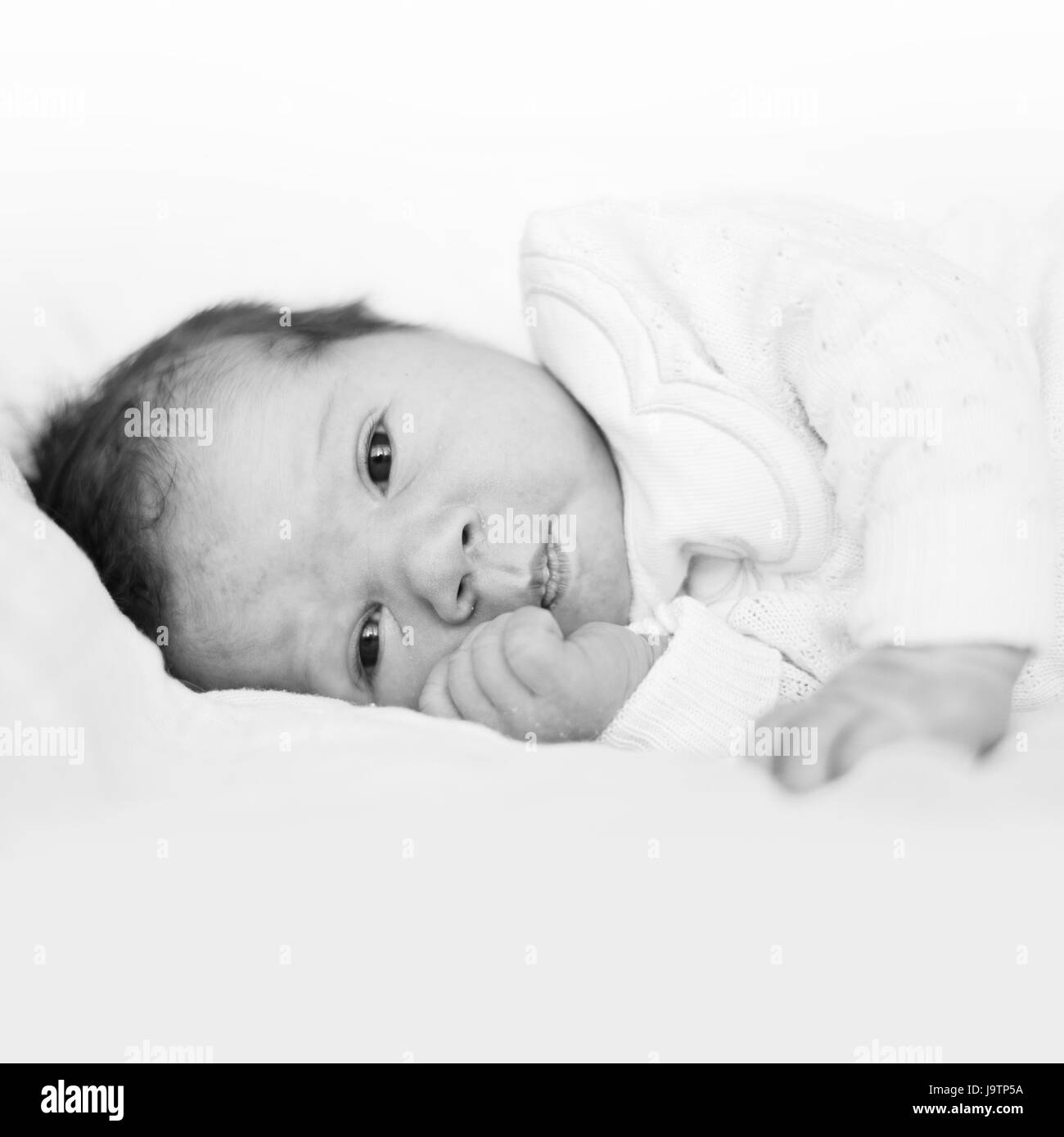 baby, innocence, newborn child, newborn infant, newborn, neonate ...