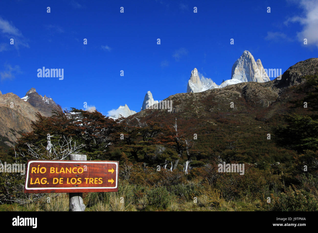 Mount Fitz Roy, Los Glaciares National Park, Argentina Stock Photo - Alamy