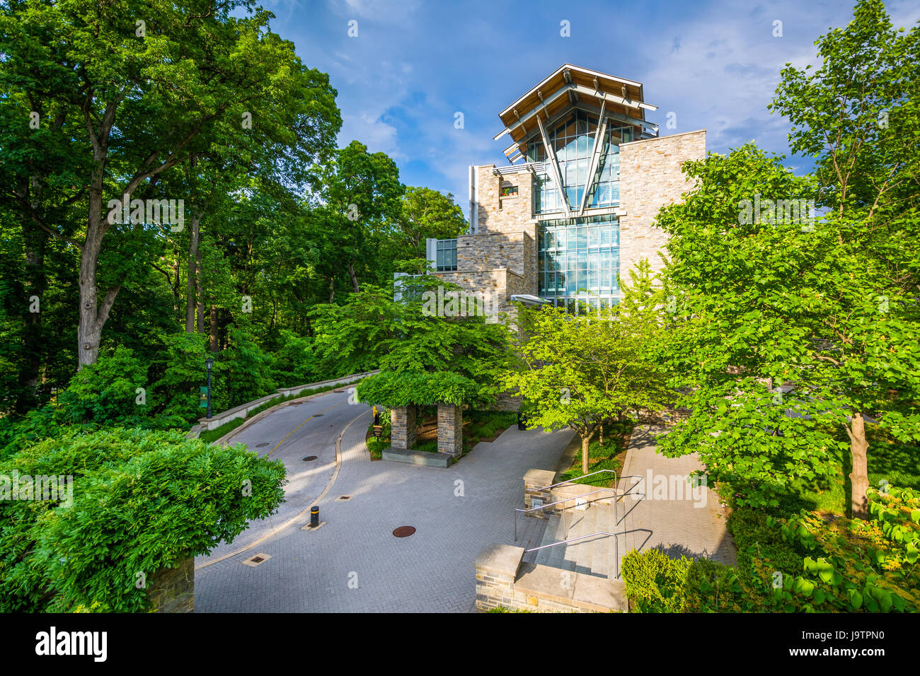 The Sellinger School of Business and Management at Loyola University ...