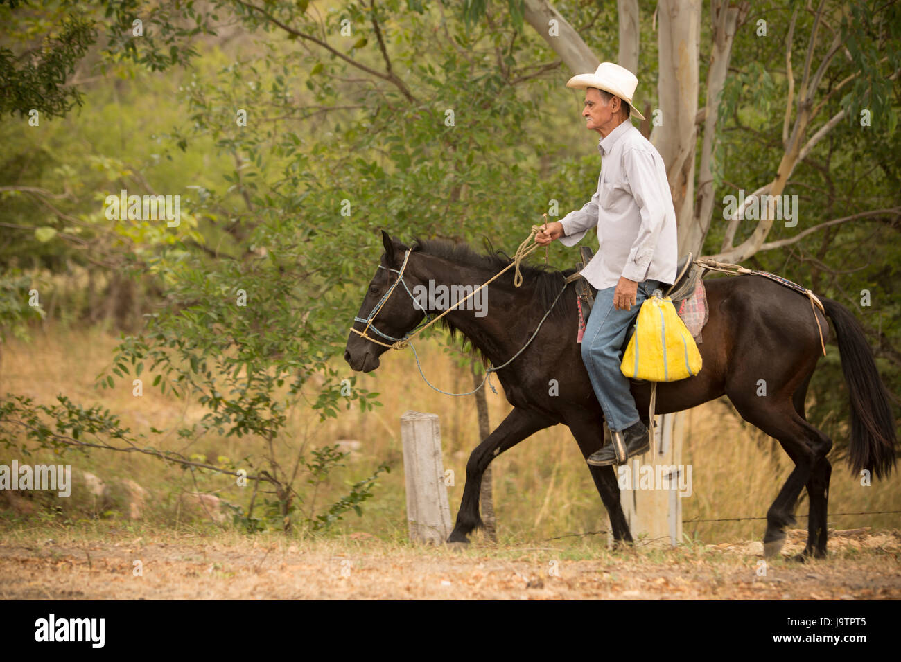 A man on horseback rides through rural El Sauce Municipality, Léon ...