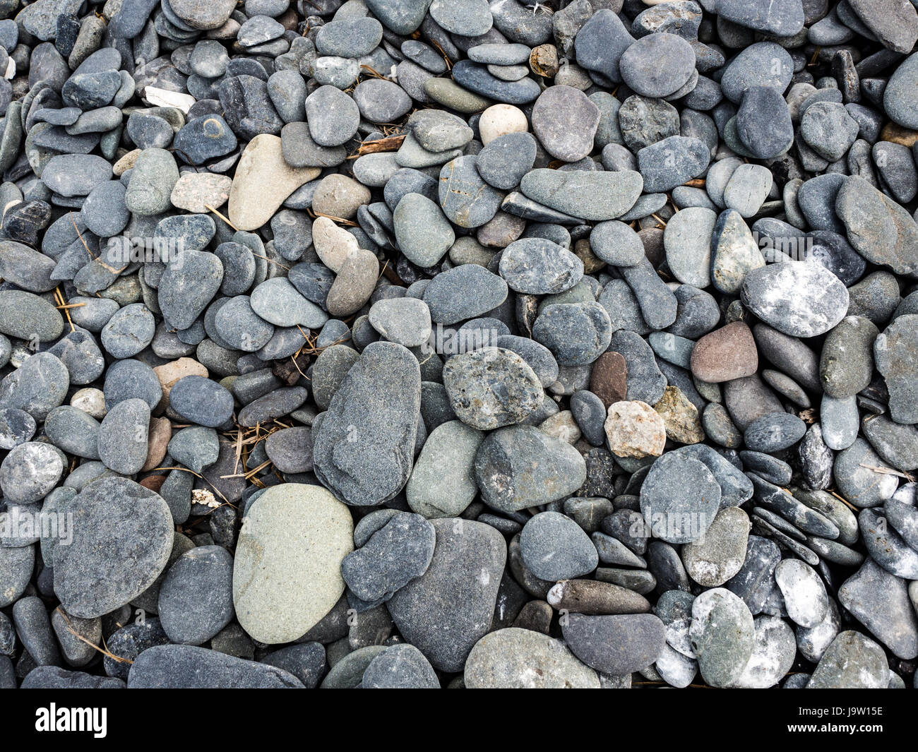 Flat River Rock Background taken at the sea shore in Homer, Alaska ...