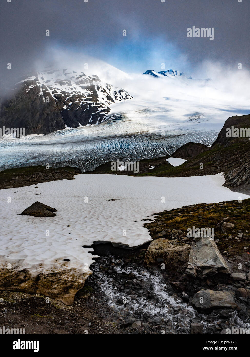 Harding icefield trail kenai fjords hi-res stock photography and images ...