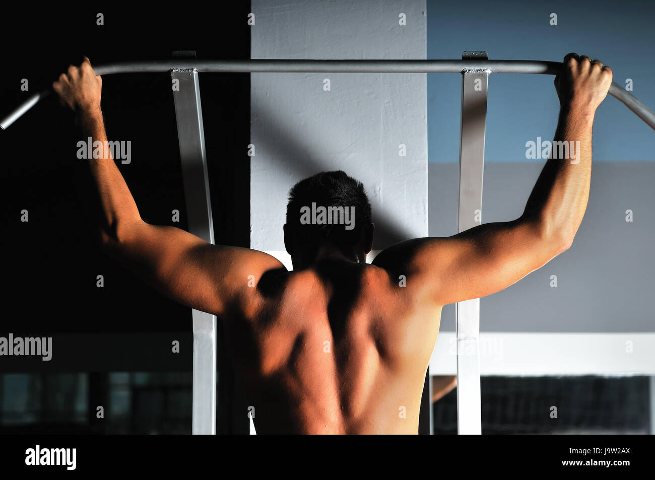 humans, human beings, people, folk, persons, human, human being, men ...