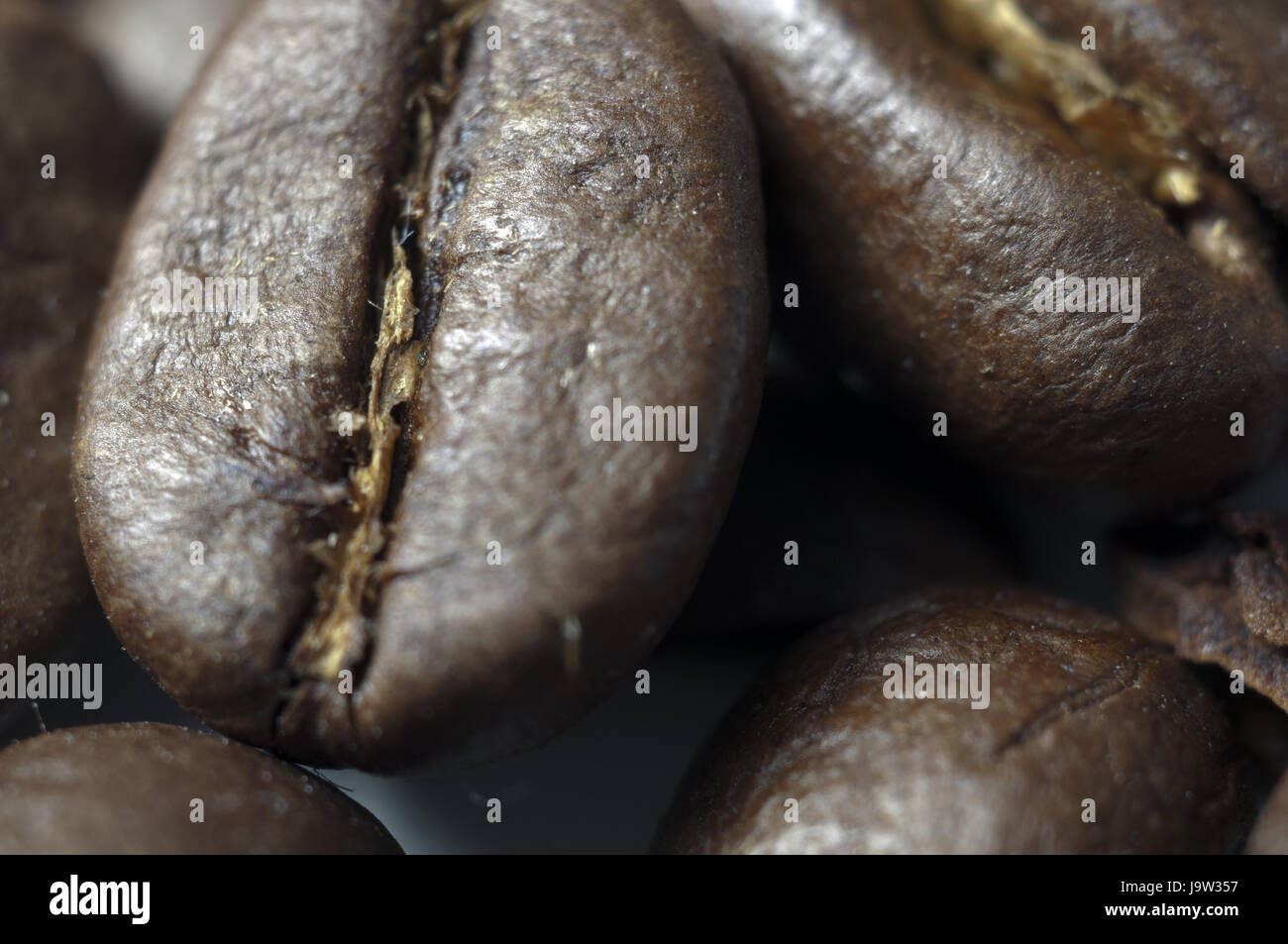 coffee, coffee bean, enjoy, stimulant, impetus, cafe, coffee, coffee ...