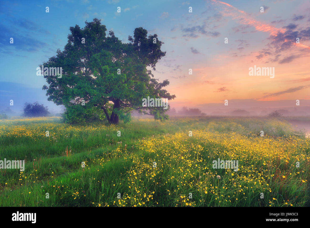 Scenic meadow landscape hi-res stock photography and images - Alamy