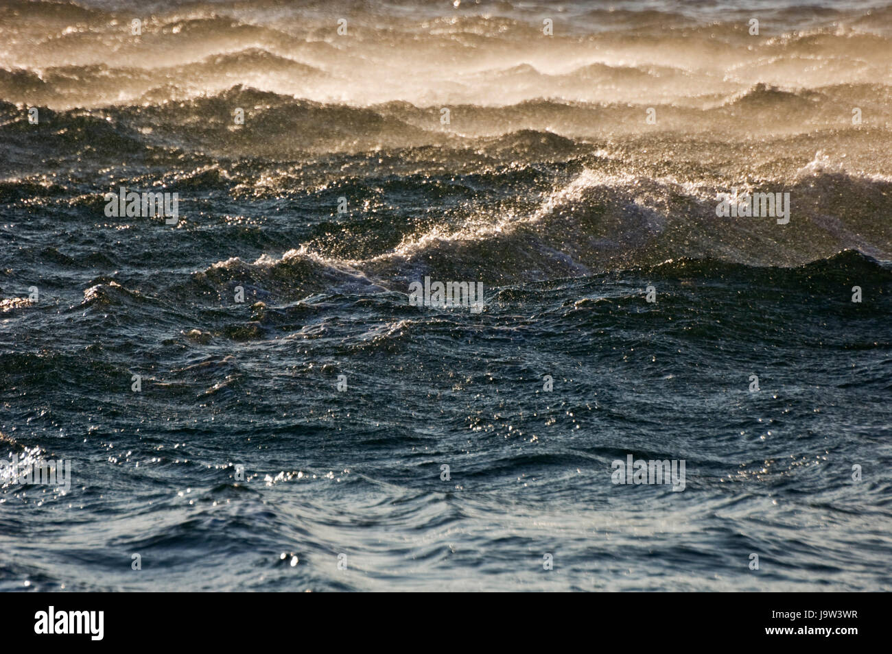 rough, foam, storm, salt water, sea, ocean, water, gale, motion ...