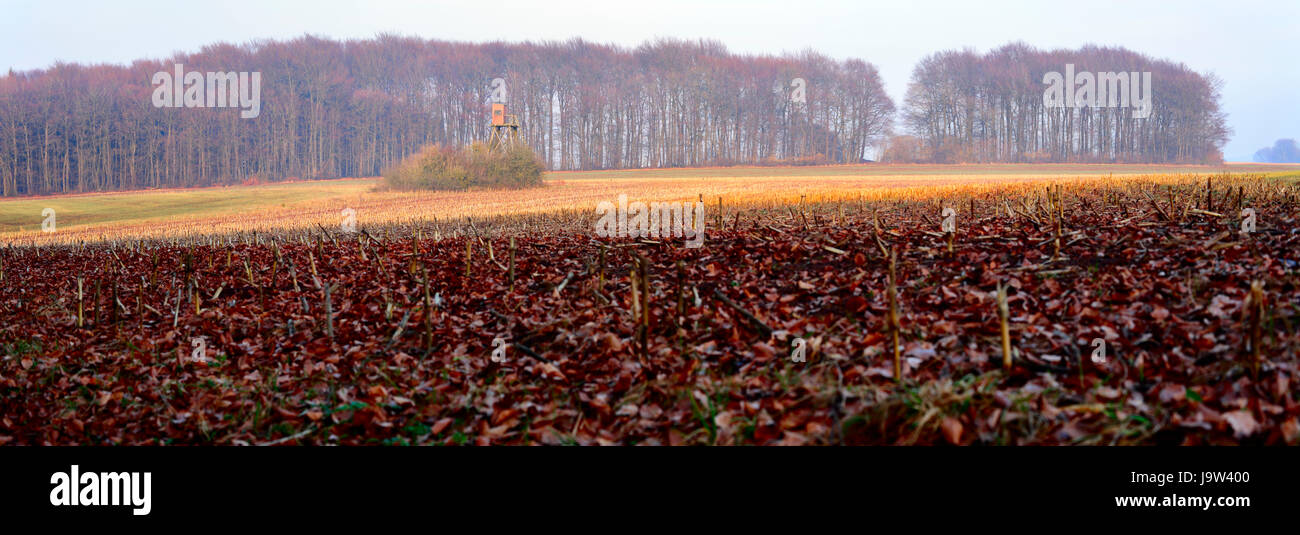 ground, soil, earth, humus, agriculture, farming, field, landscape ...