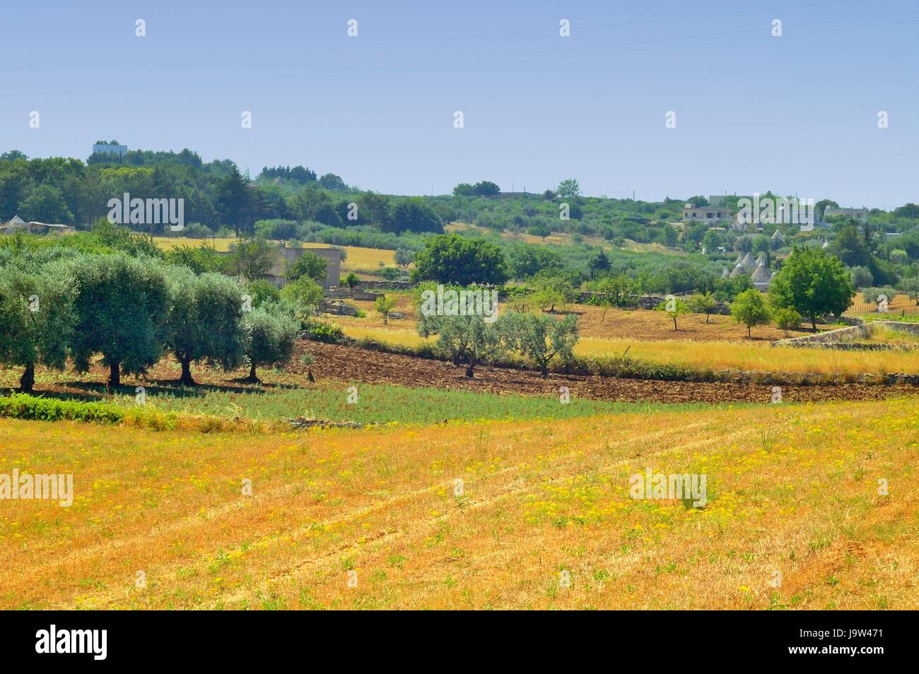agriculture, farming, landscape, scenery, countryside, nature, rural ...