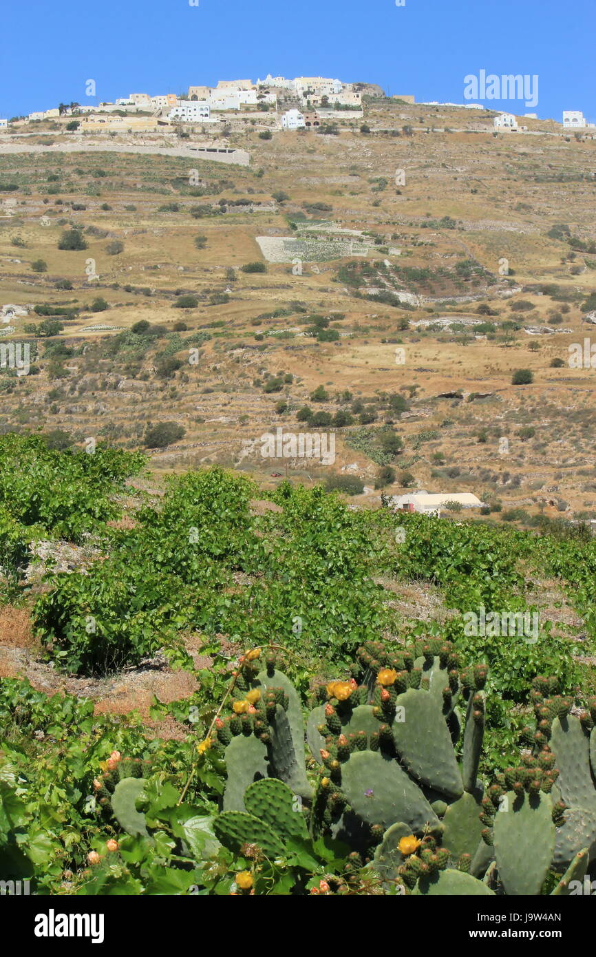 hill, greece, greek, island, landscape, scenery, countryside, nature ...