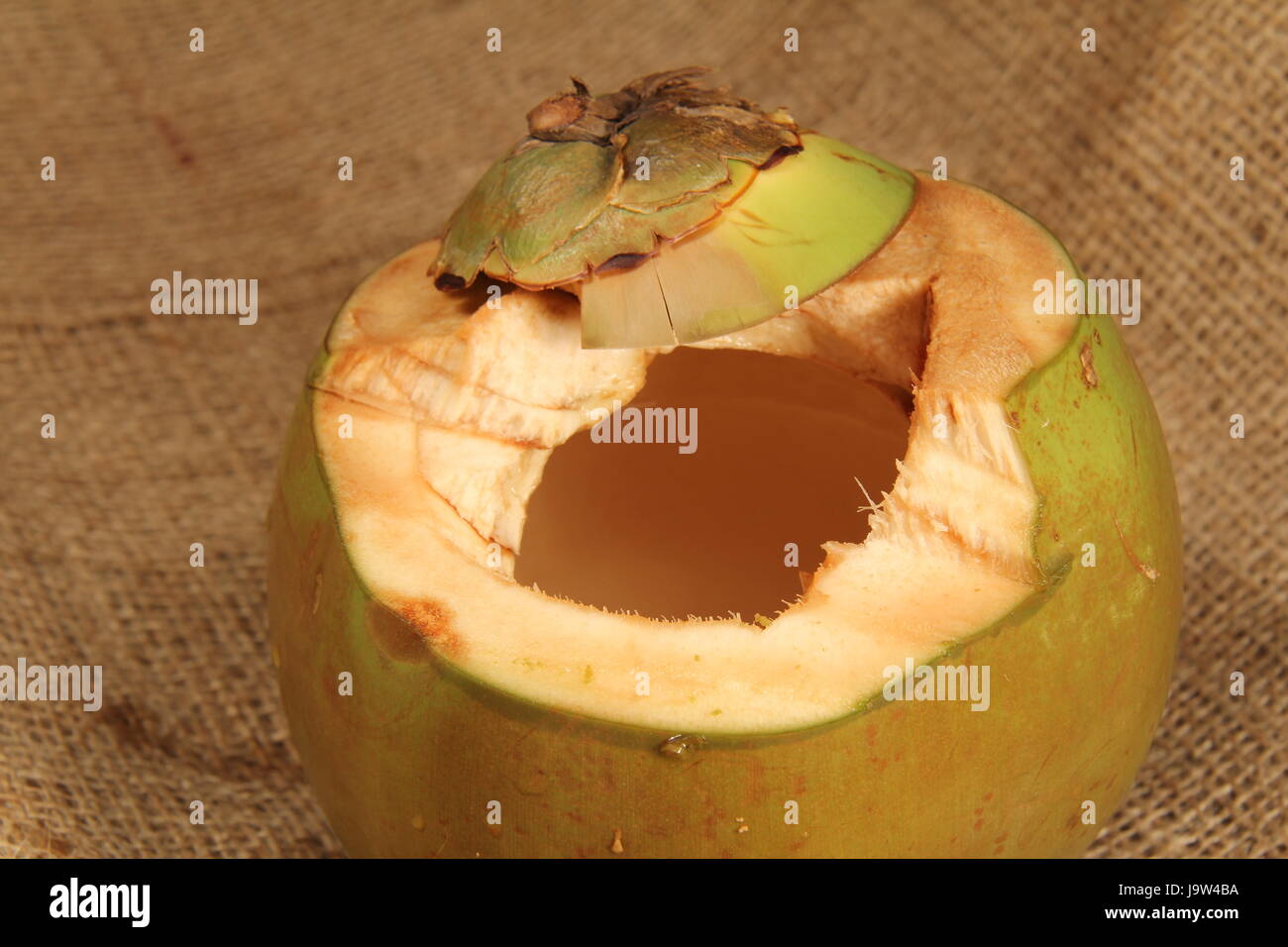 Immature coconut hi-res stock photography and images - Alamy