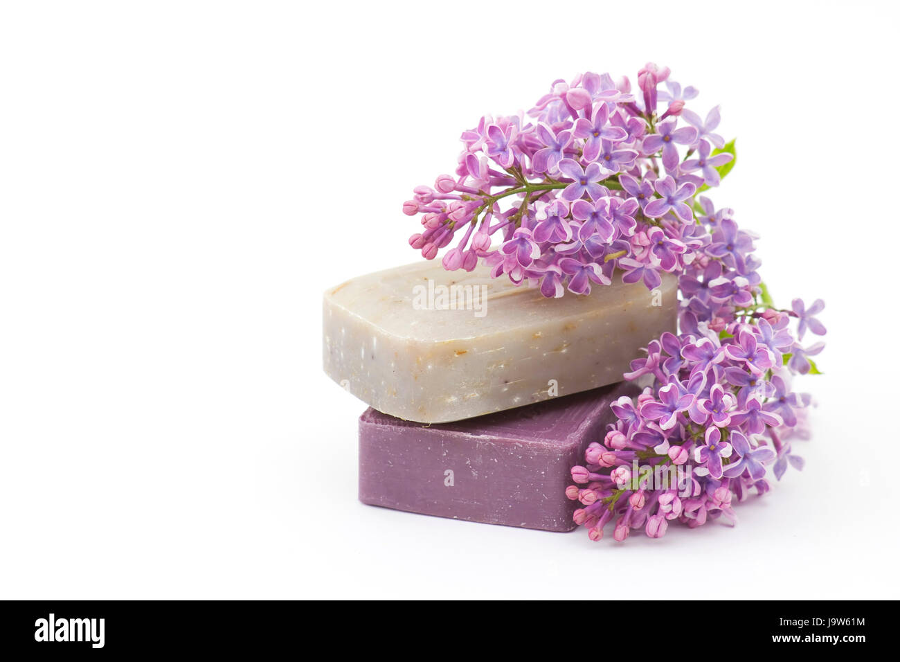 closeup, flower, plant, freshness, horizontal, luxury, expenditure ...