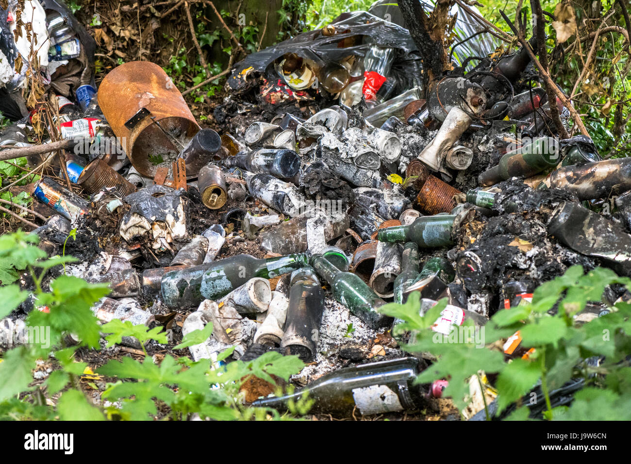 Discarded beer cans hi-res stock photography and images - Alamy
