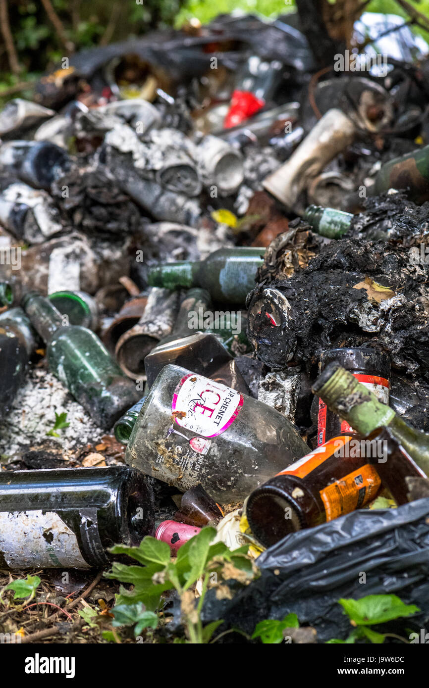 Discarded glass beer bottle hi-res stock photography and images - Alamy