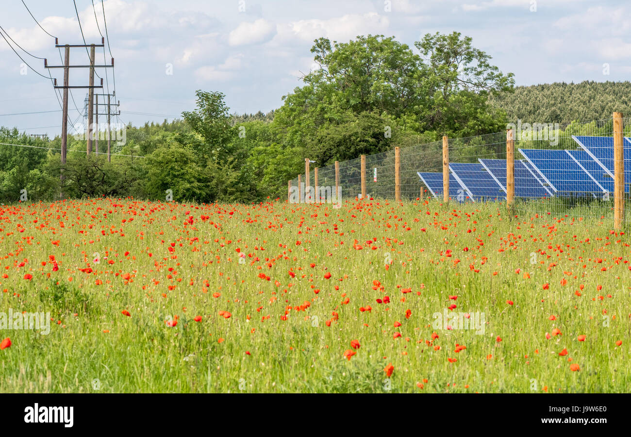Solar farm, overhead power lines and poppy field Stock Photo - Alamy