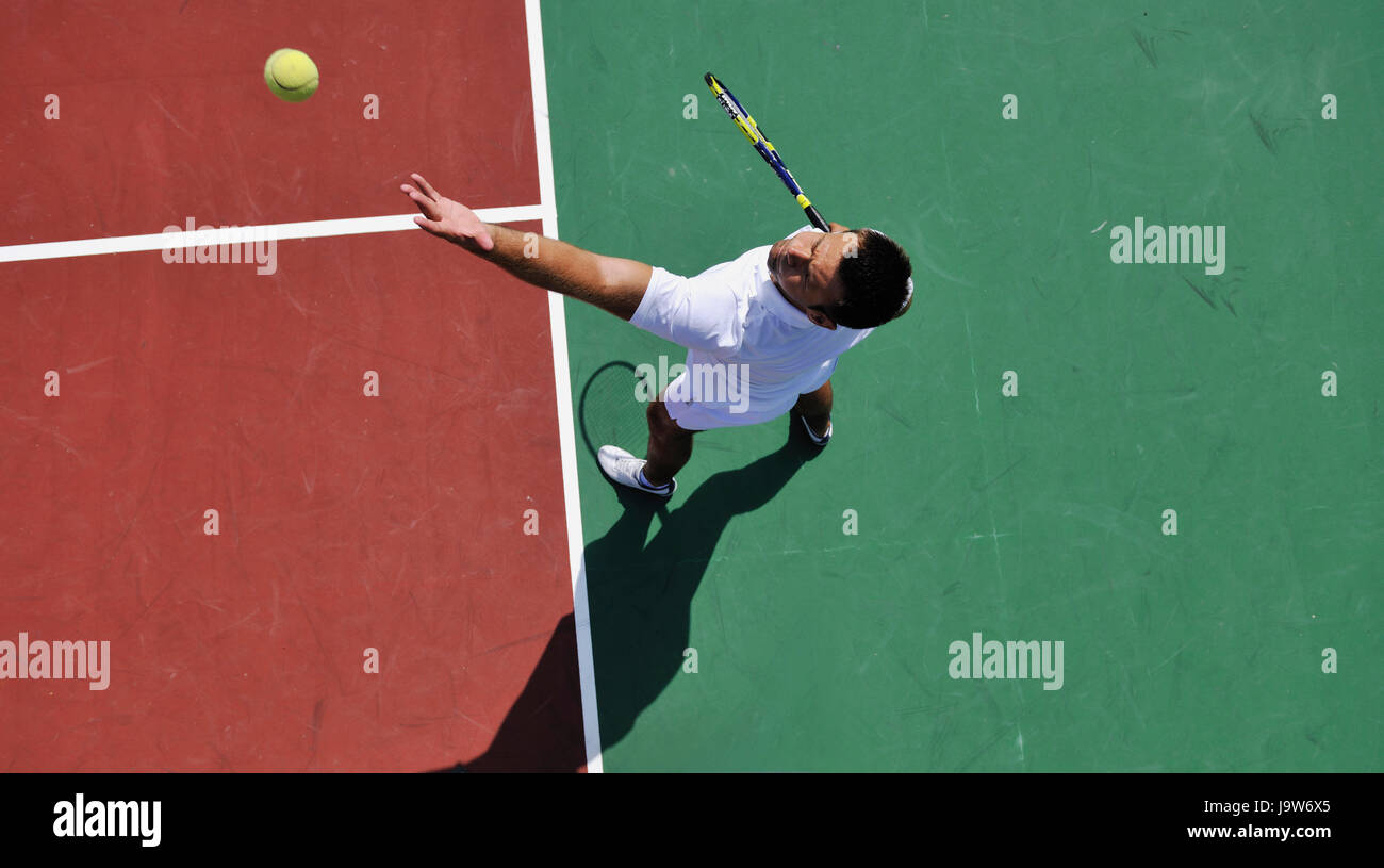 humans, human beings, people, folk, persons, human, human being, health ...