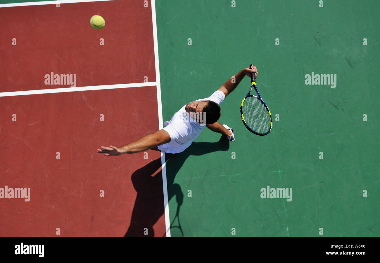 humans, human beings, people, folk, persons, human, human being, health ...