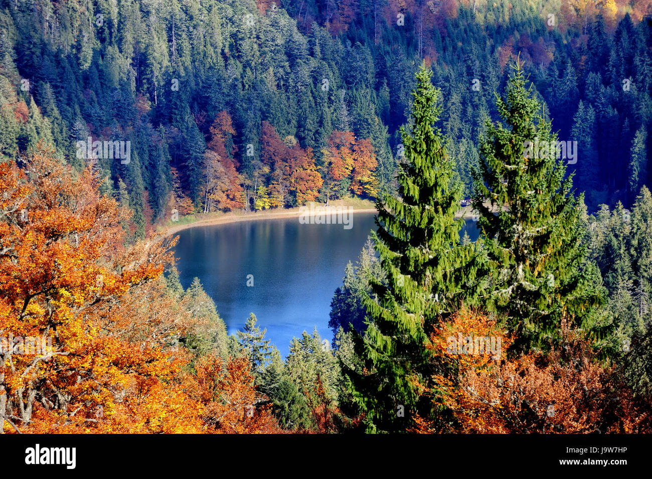 Autumn colorful foliage over lake with beautiful woods in red and ...