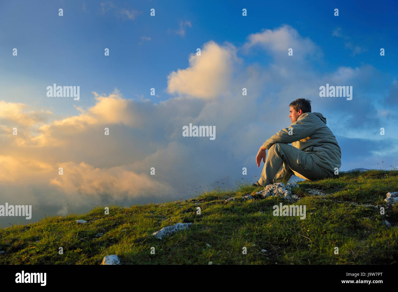 humans, human beings, people, folk, persons, human, human being, men ...