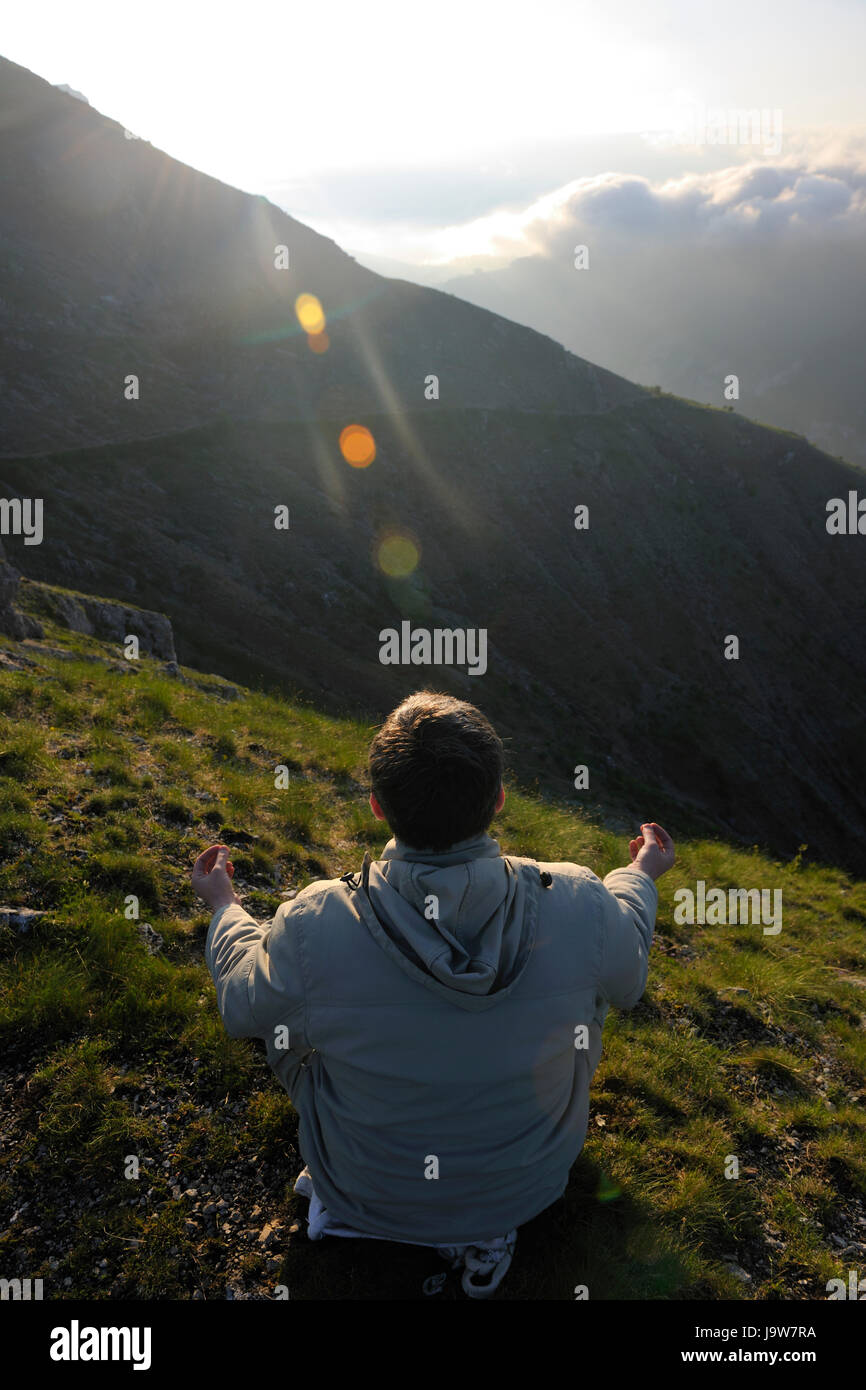 humans, human beings, people, folk, persons, human, human being, men ...