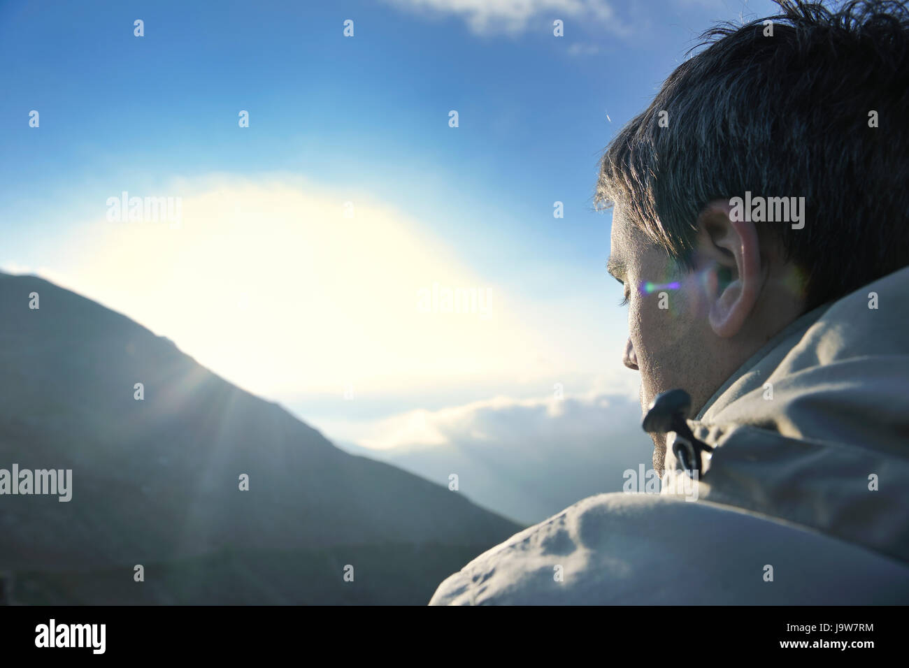 humans, human beings, people, folk, persons, human, human being, men ...