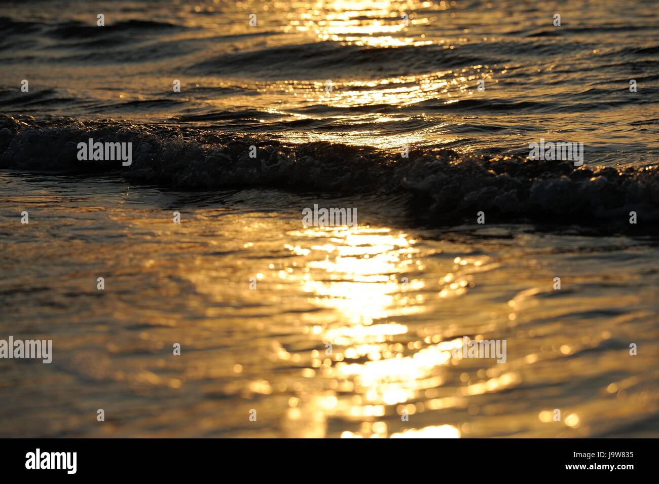 Waves close-up at the sunset with bright halo Stock Photo - Alamy
