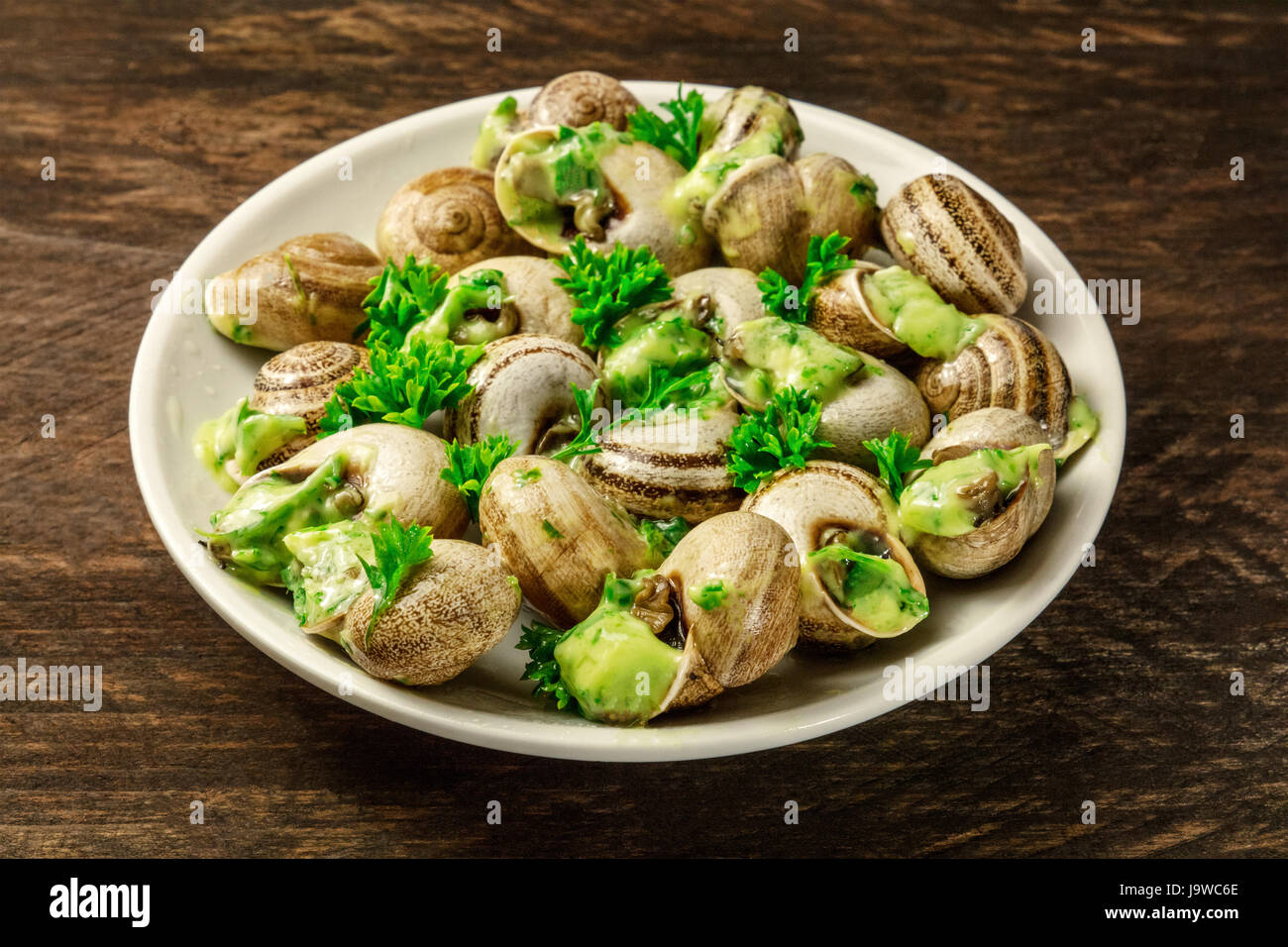 A photo of escargots a la bourguignonne, a plate of snails with the ...