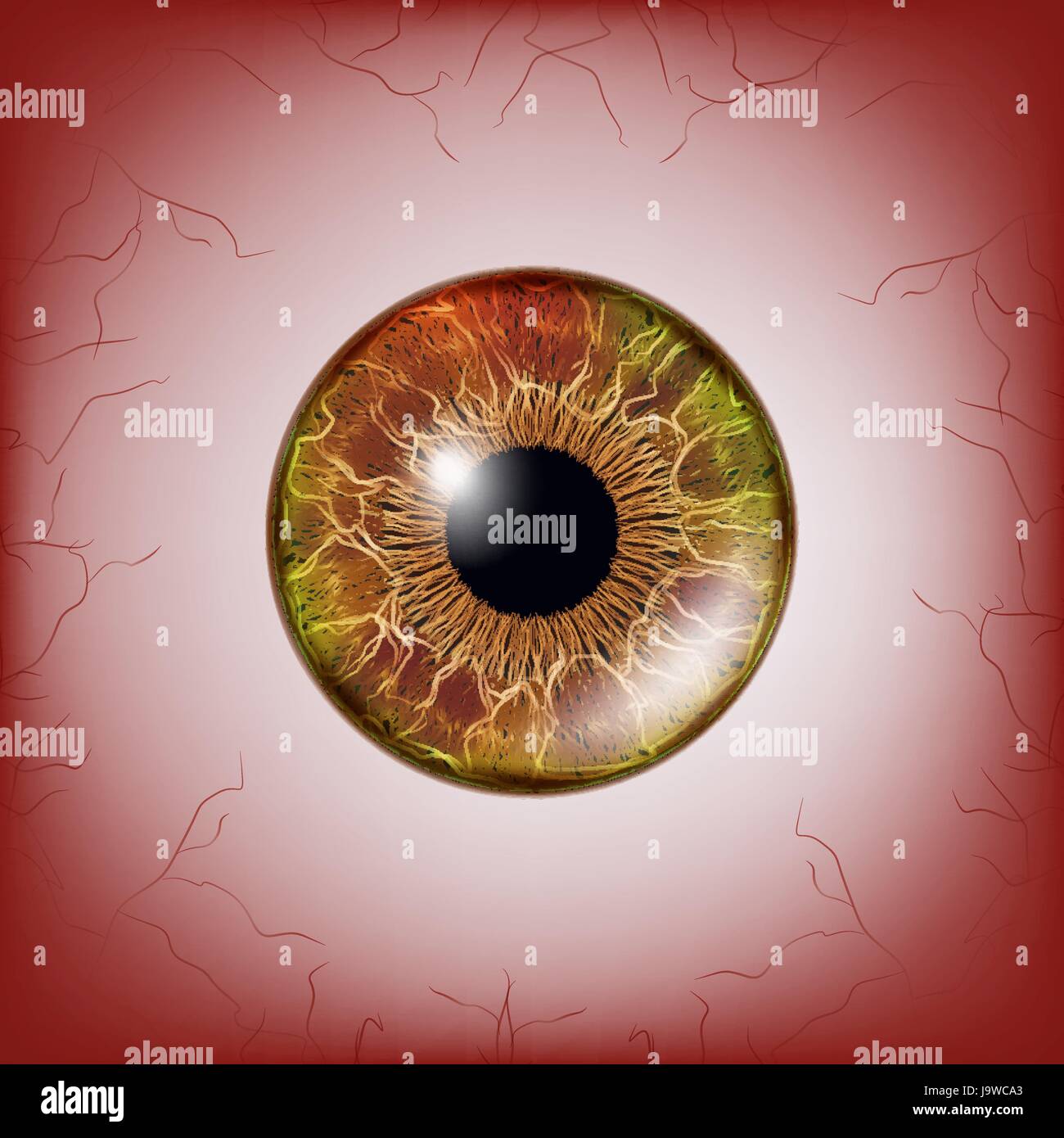 Red Eye. Scary Bloody Realistic Eyeballs. Spooky Human Eyeball With ...