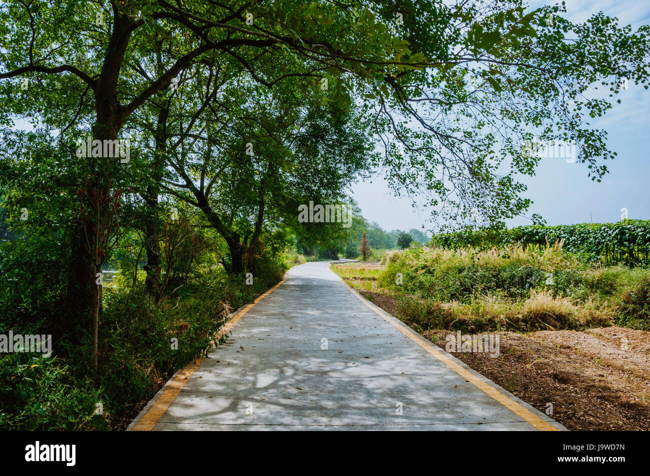 The countryside road scenery Stock Photo - Alamy