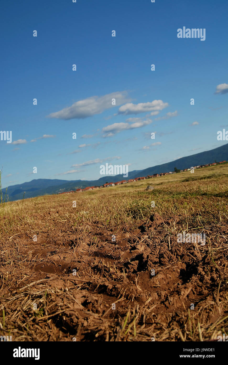 agricultural, culture, flow, wheel, ground, soil, earth, humus, new ...