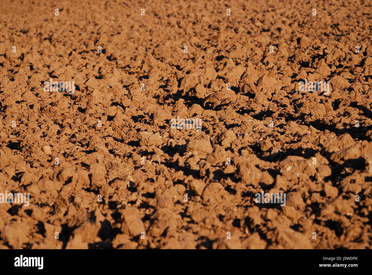 agricultural, culture, flow, ground, soil, earth, humus, new ...