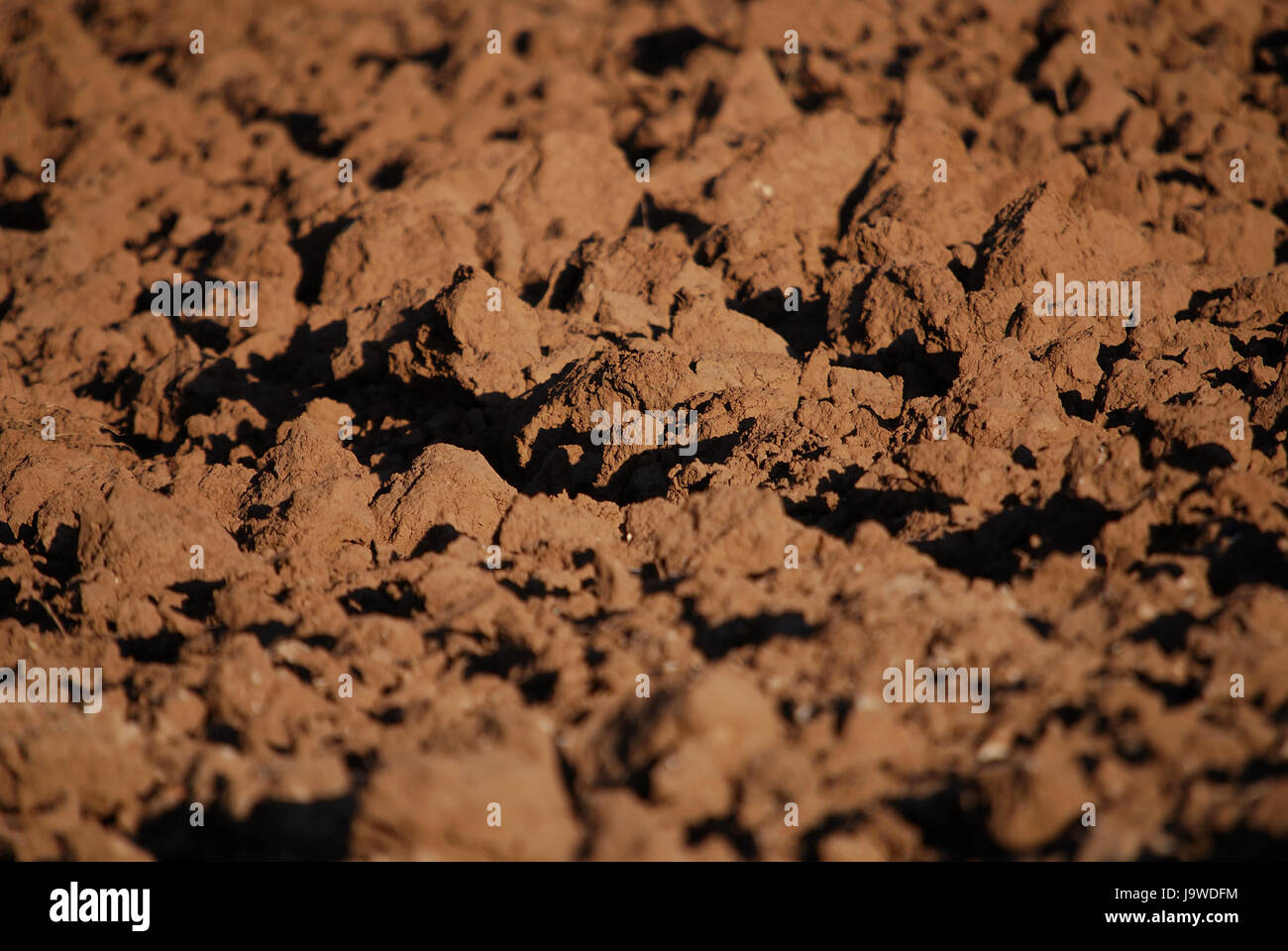 agricultural, culture, flow, ground, soil, earth, humus, new ...