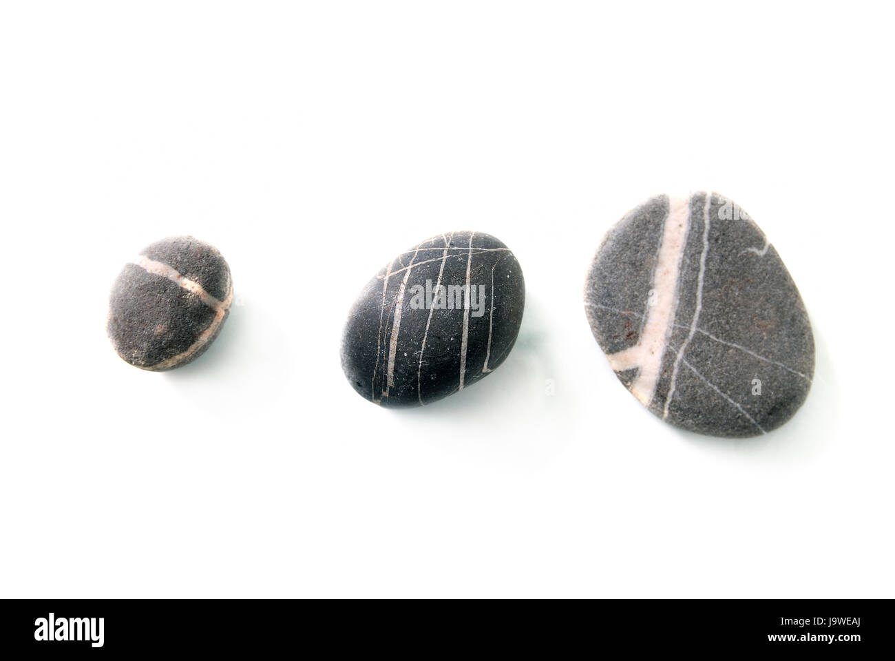 Scale of existence Cut Out Stock Images & Pictures - Alamy