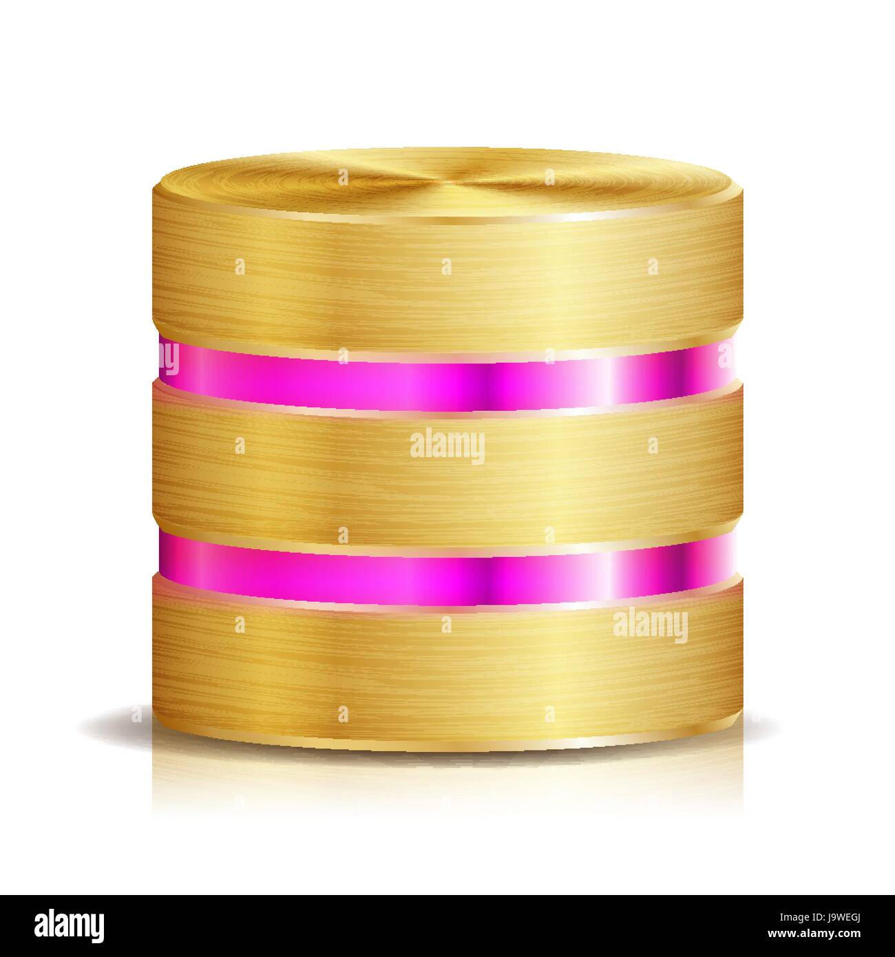 Network Database Disc Icon Vector Set. Realistic Illustration Of ...