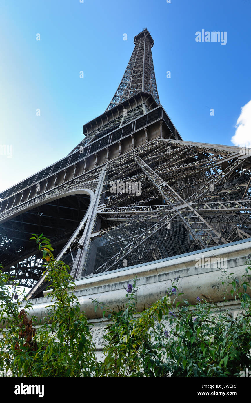 blue, humans, human beings, people, folk, persons, human, human being ...