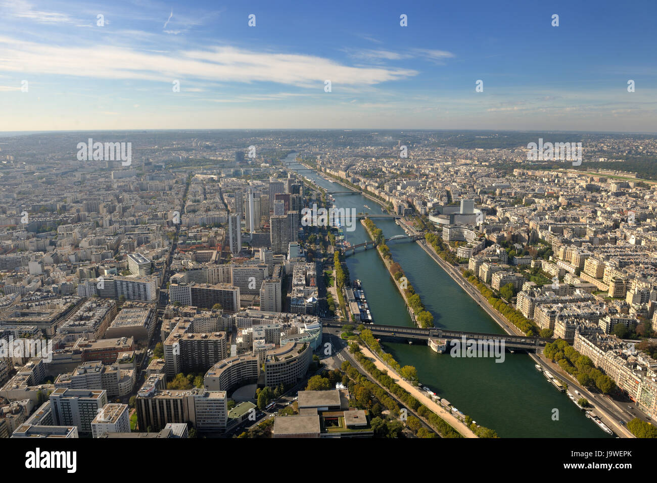 blue, humans, human beings, people, folk, persons, human, human being ...