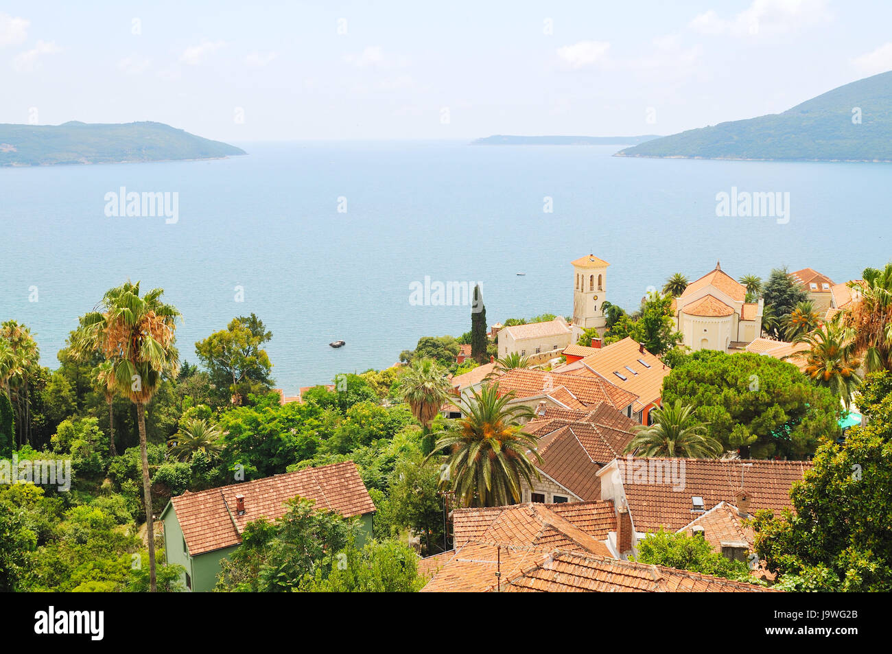 blue, humans, human beings, people, folk, persons, human, human being ...