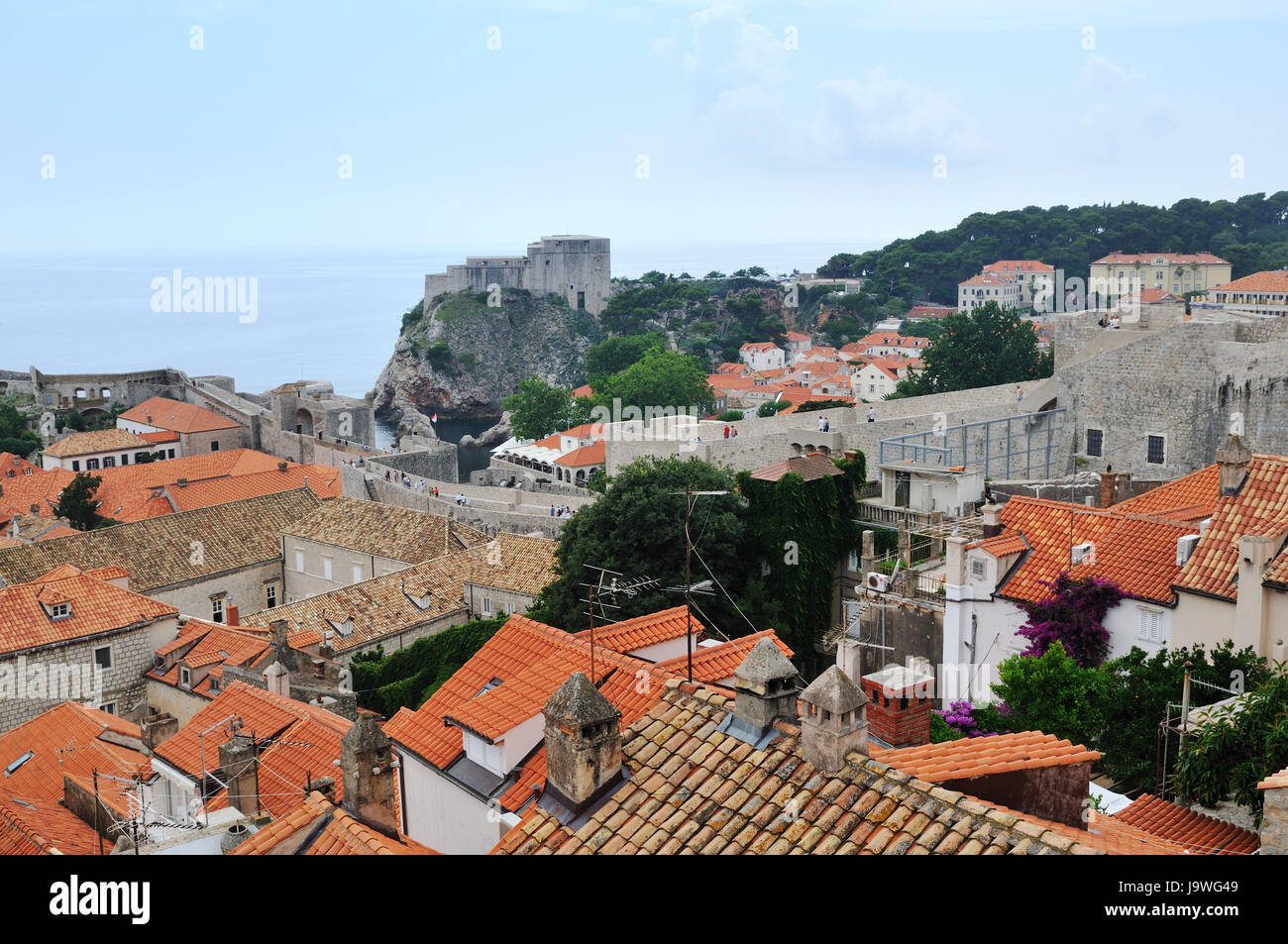 blue, humans, human beings, people, folk, persons, human, human being ...