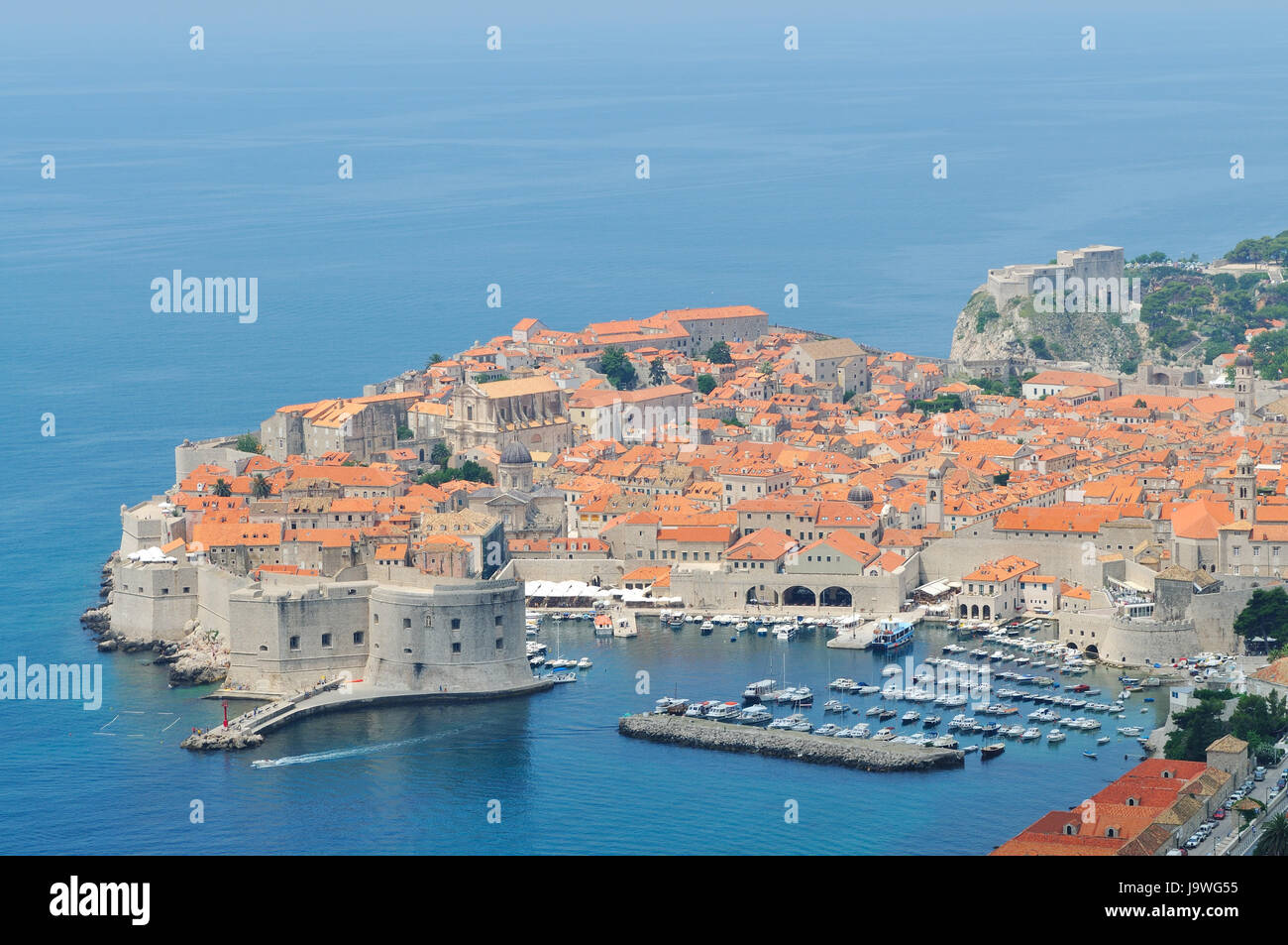 blue, humans, human beings, people, folk, persons, human, human being ...