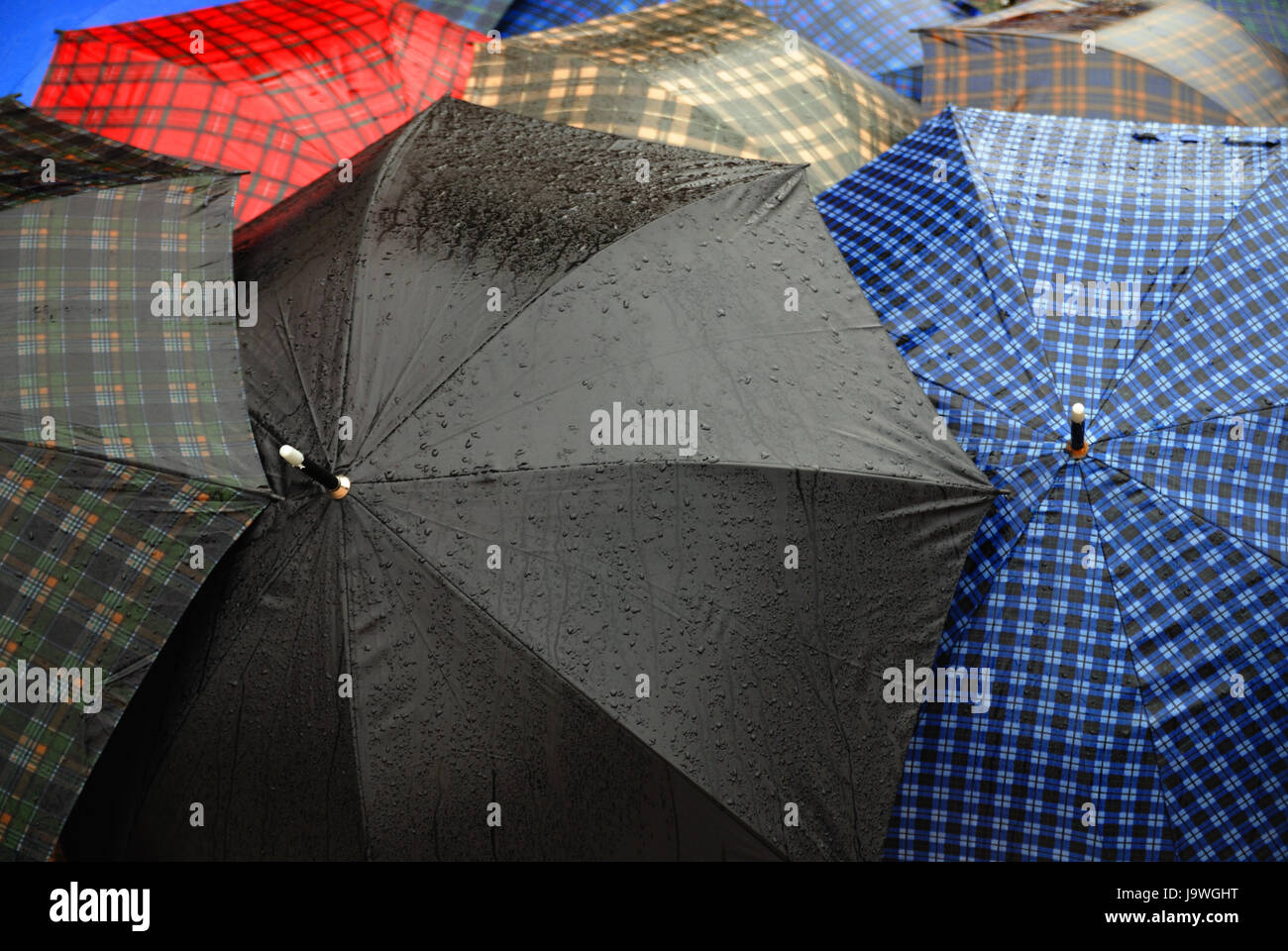 blue, model, design, project, concept, plan, draft, summer, summerly ...