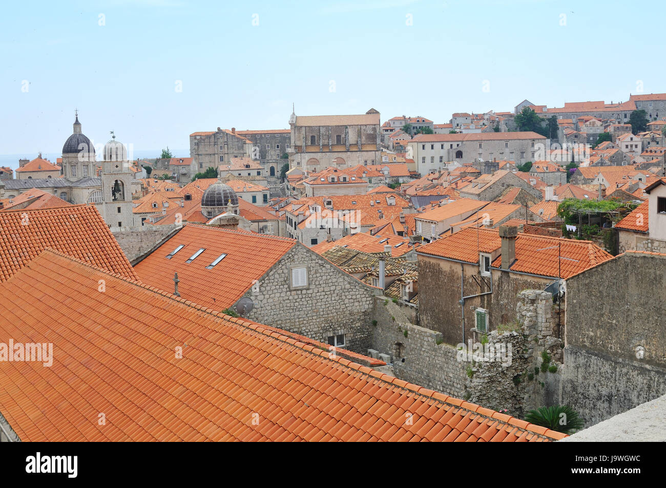 blue, humans, human beings, people, folk, persons, human, human being ...