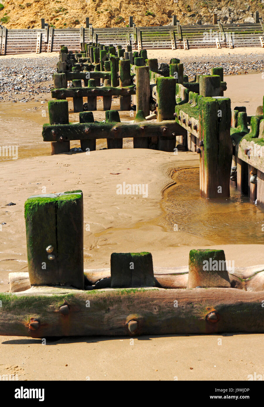 A view of a timber breakwater showing signs of wear on the North ...
