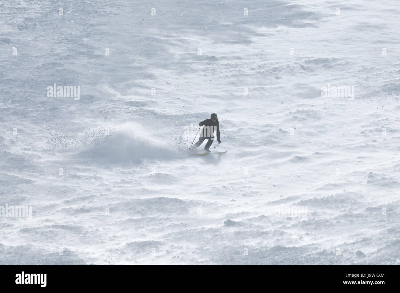 blue, humans, human beings, people, folk, persons, human, human being ...