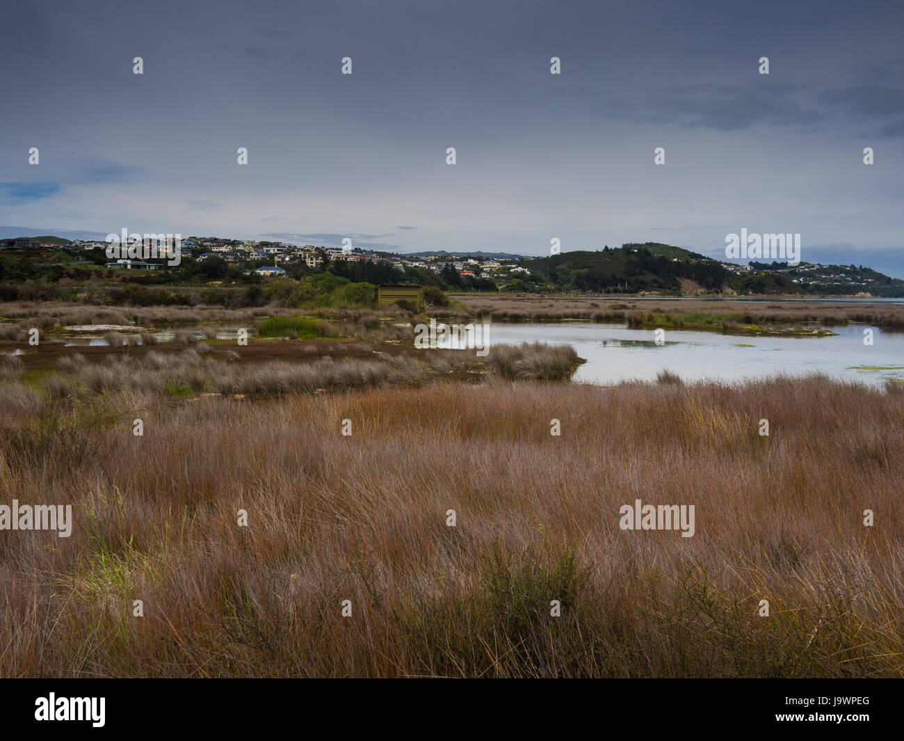 Estuary and inlet hi-res stock photography and images - Alamy