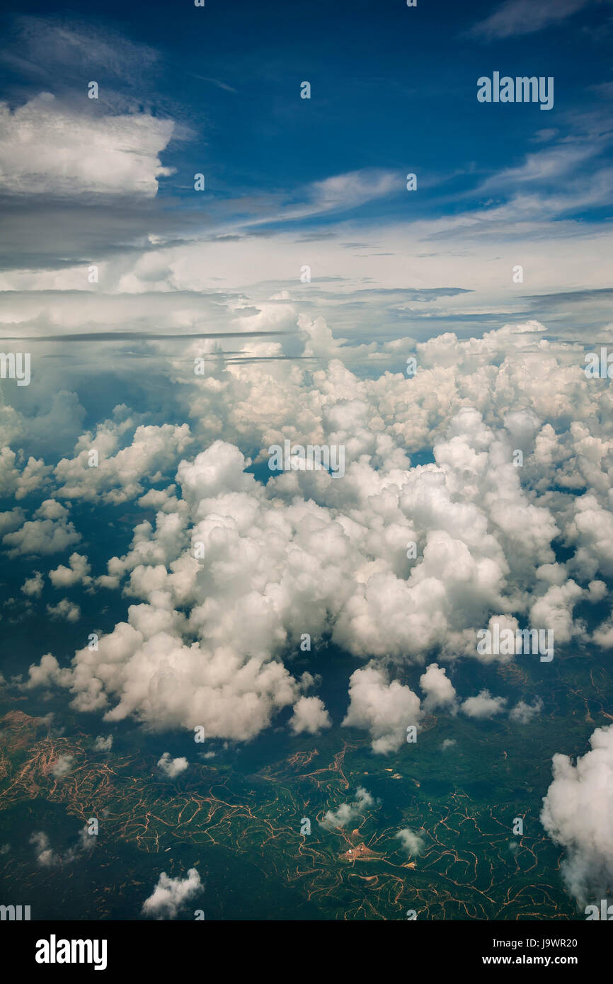 Terraced forest hi-res stock photography and images - Alamy