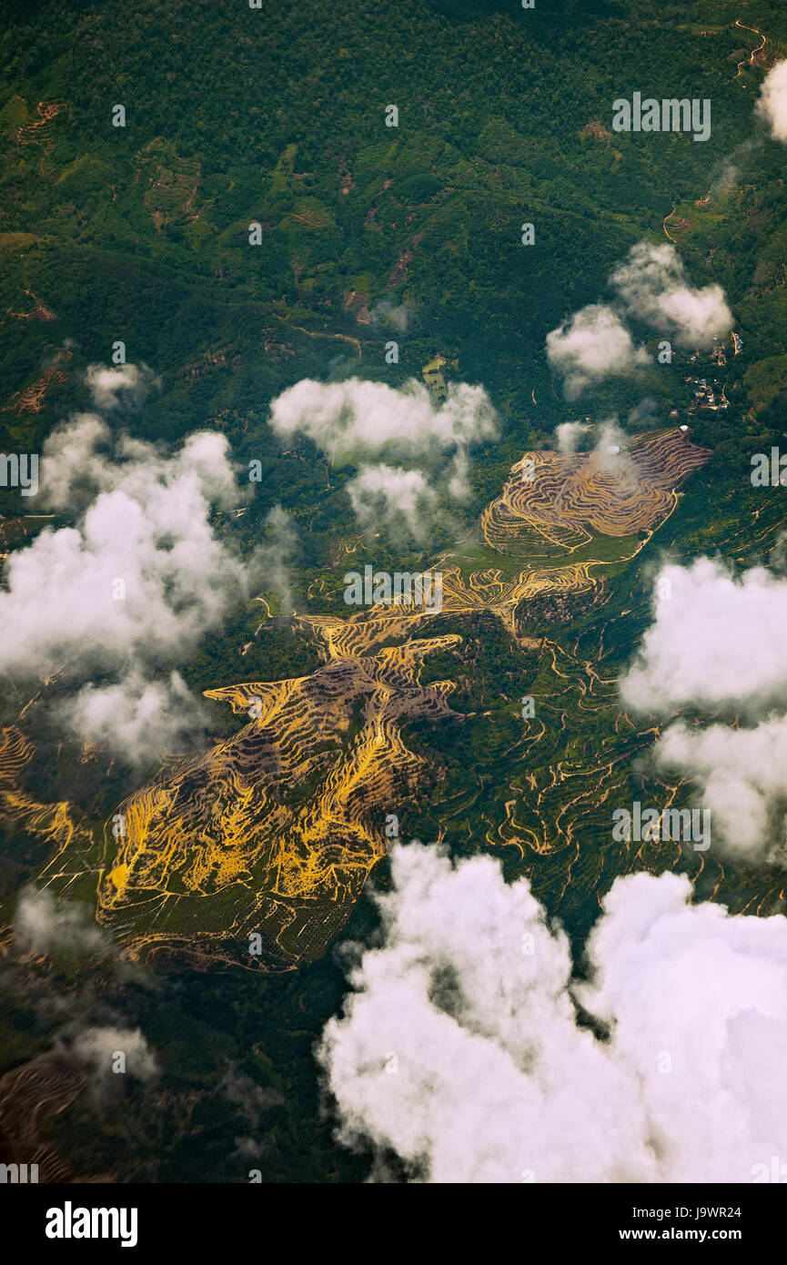Clouds, forest, terraced fields, Malaysia Stock Photo - Alamy