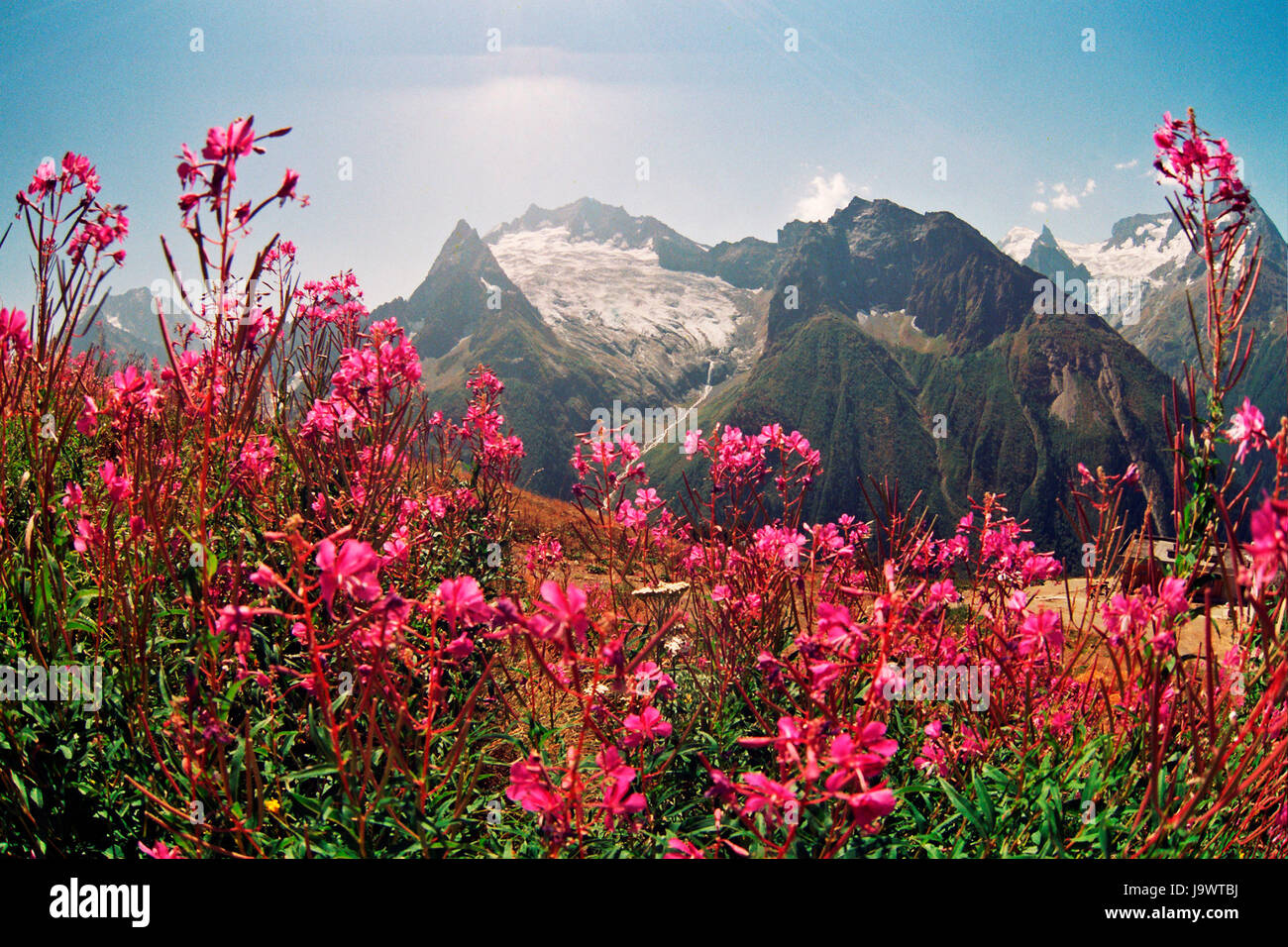 The western caucasus hi-res stock photography and images - Alamy